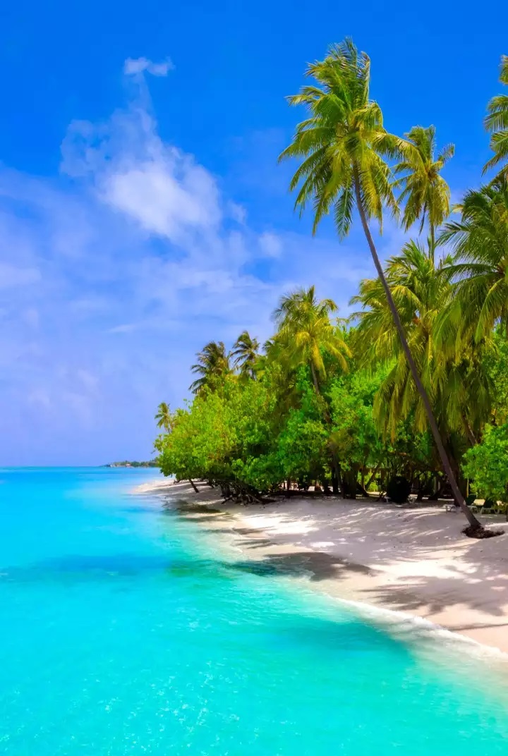 Meet the Boss - Victoria Wainwright of Naylor Wintersgill - Bradford ...